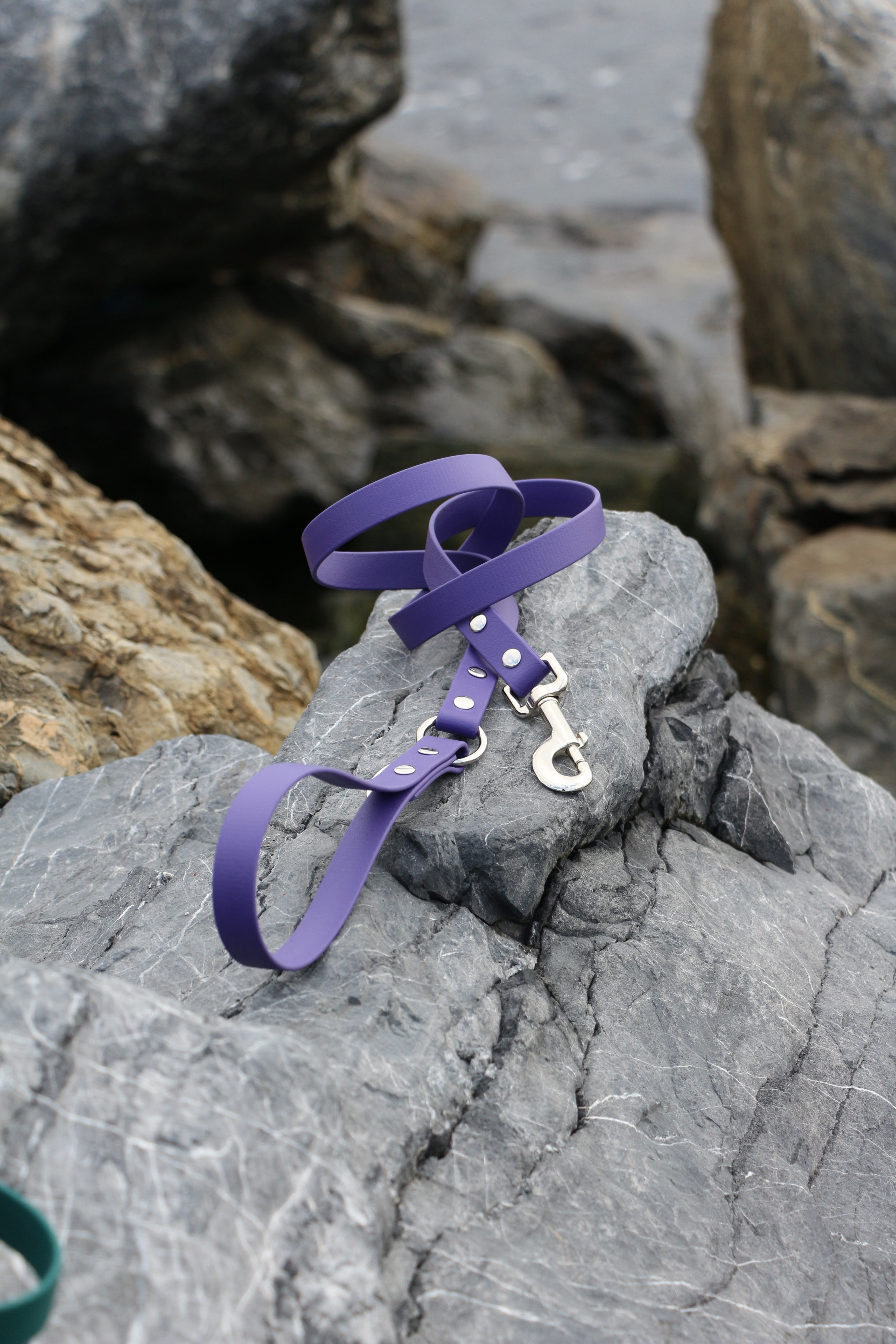 Kody Dog Leash – The Morning Cloud