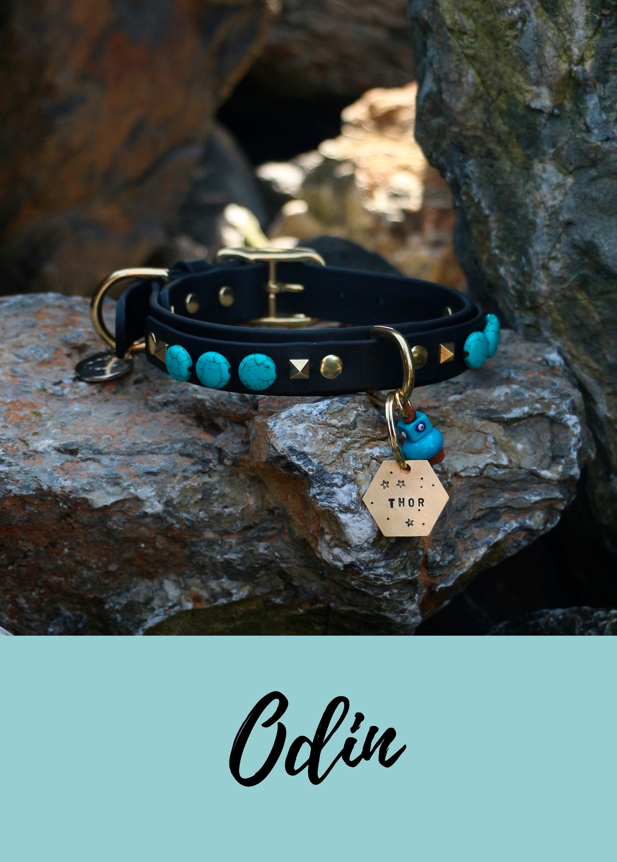 Odin Large Dog Collar – The Morning Cloud