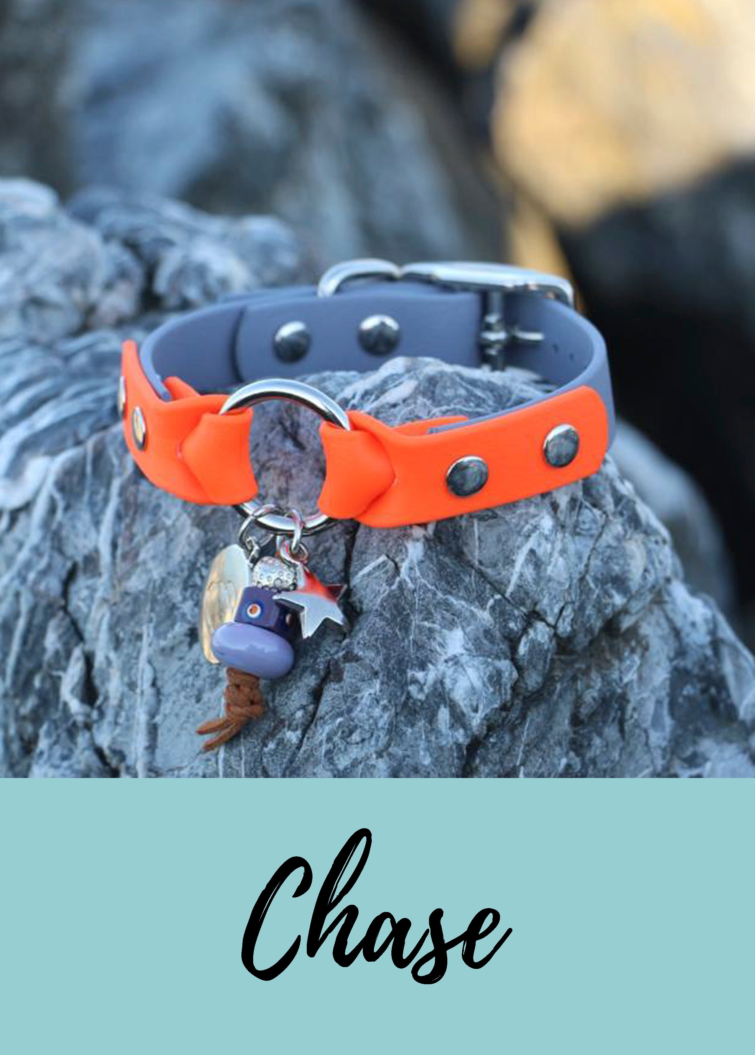 Chase Dog Collar – The Morning Cloud