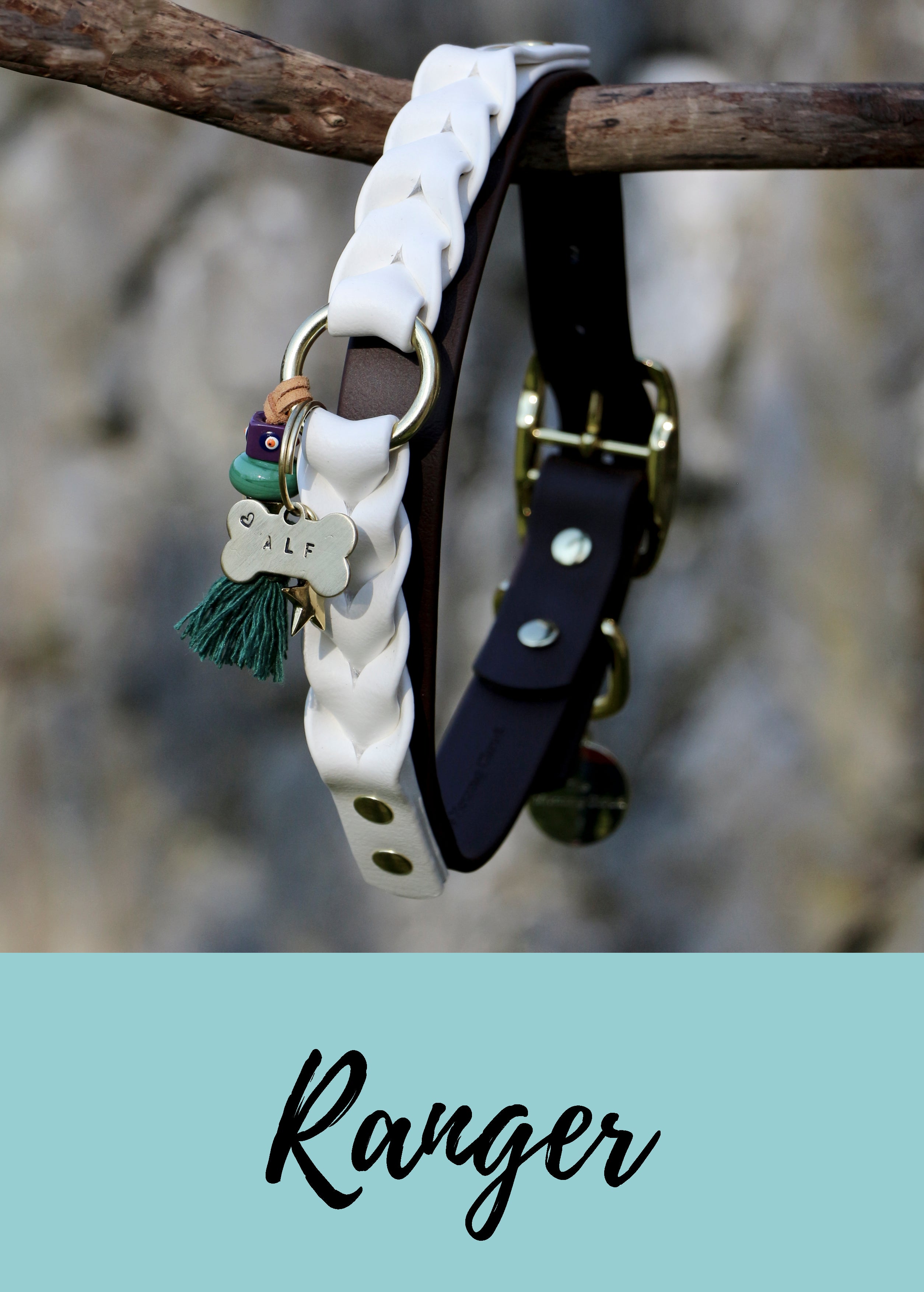 Ranger Büyük Köpek Tasması – The Morning Cloud